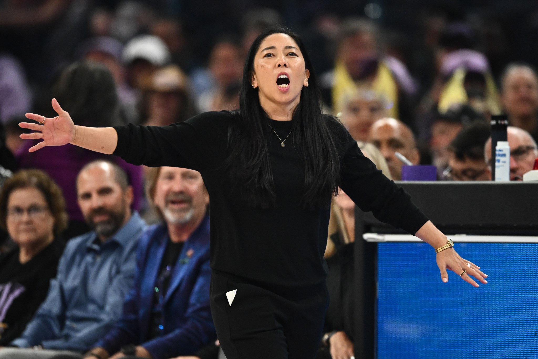 The Indiana Fever have a new rival, and it's glorious