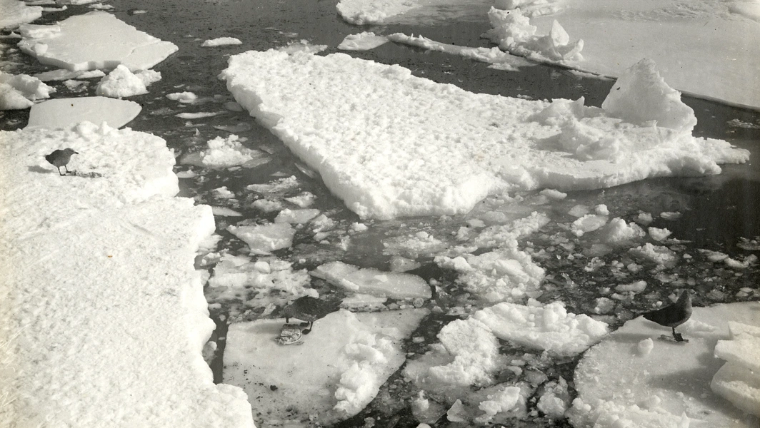 Scientists map Antarctic wave-driven ice zone for first time