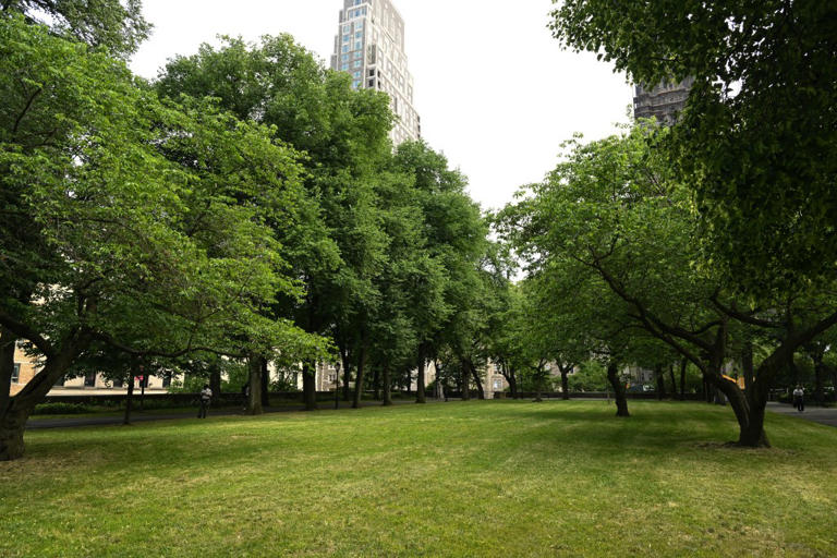 NYC taxpayers on the hook for shocking $375K tab just to replace 2 ...