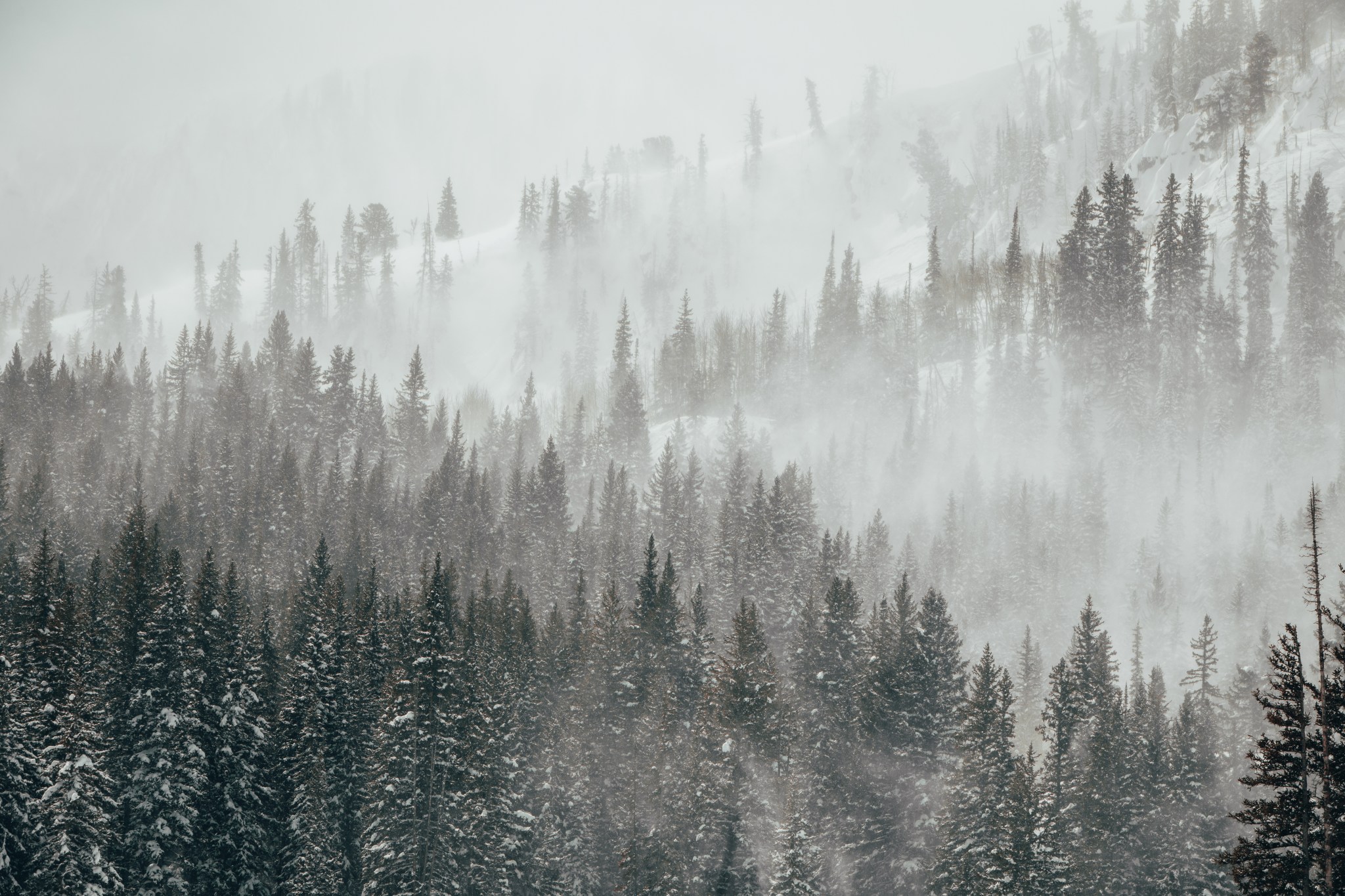 Snow warning for one state as 4 inches set to strike: "Atypical"