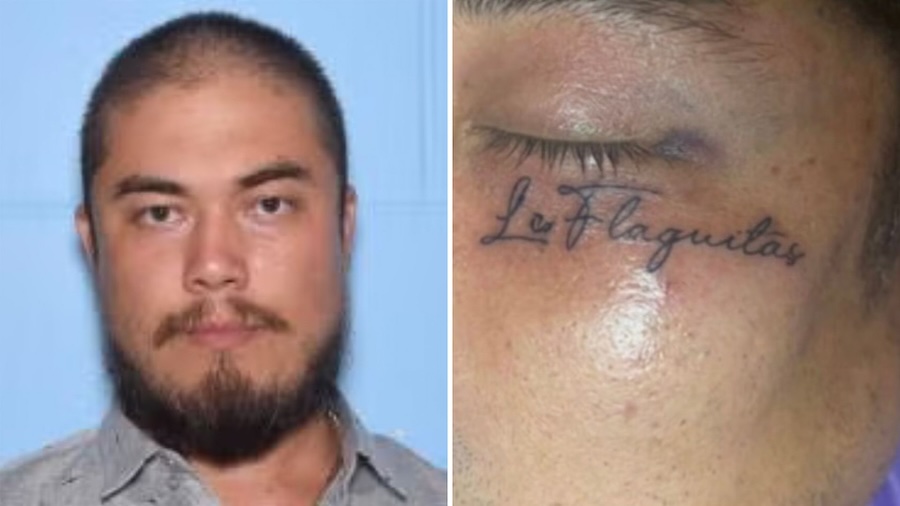 Hawaii manhunt ends with arrest of suspect in killings of 3 elderly men ...
