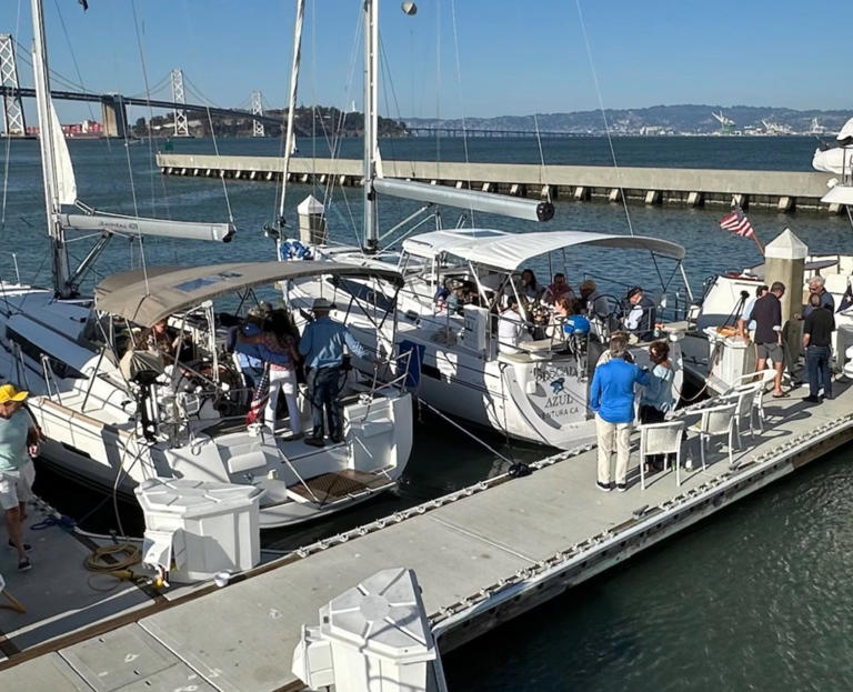 California yacht club descends into vicious infighting as legal battle ...