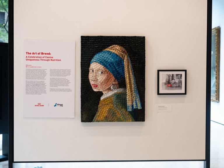 Using colorful dog kibble, artists turn 'Mona Lisa,' 'The Scream' and ...