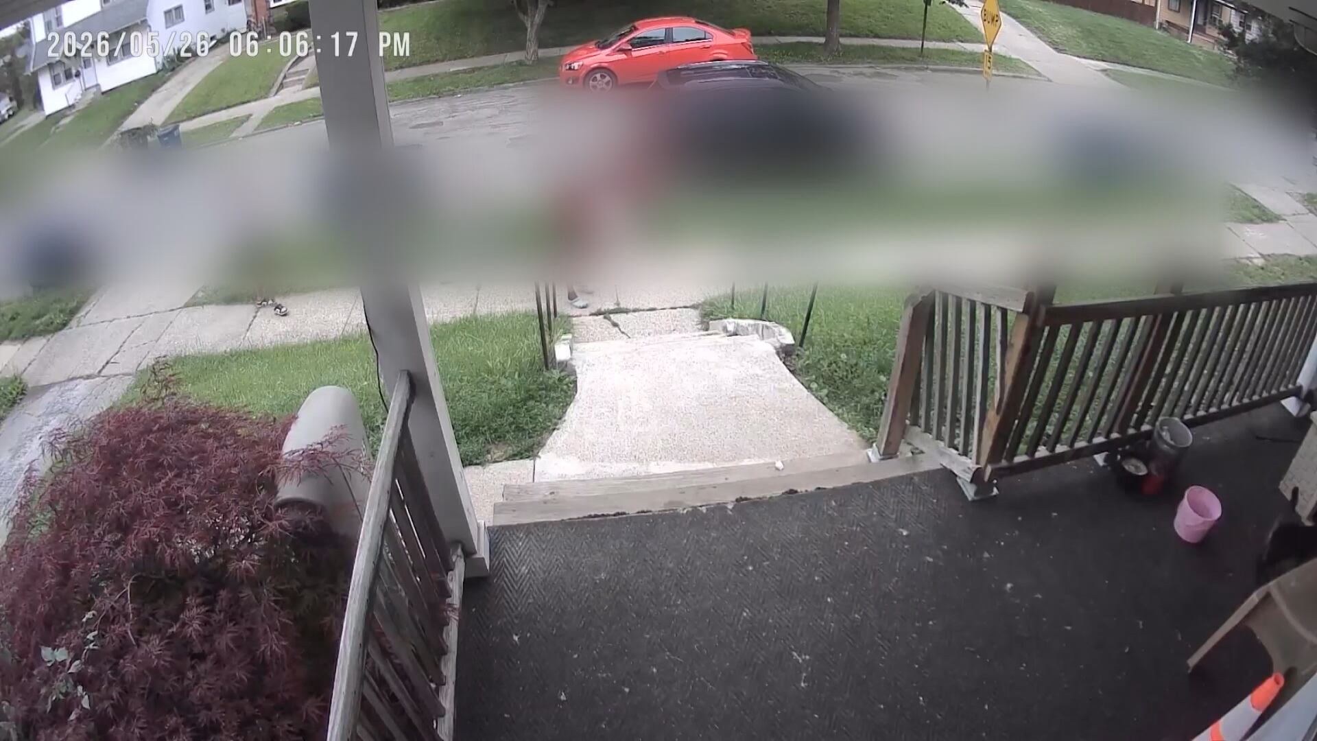 Kids caught on camera shooting at cats in Toledo neighborhood