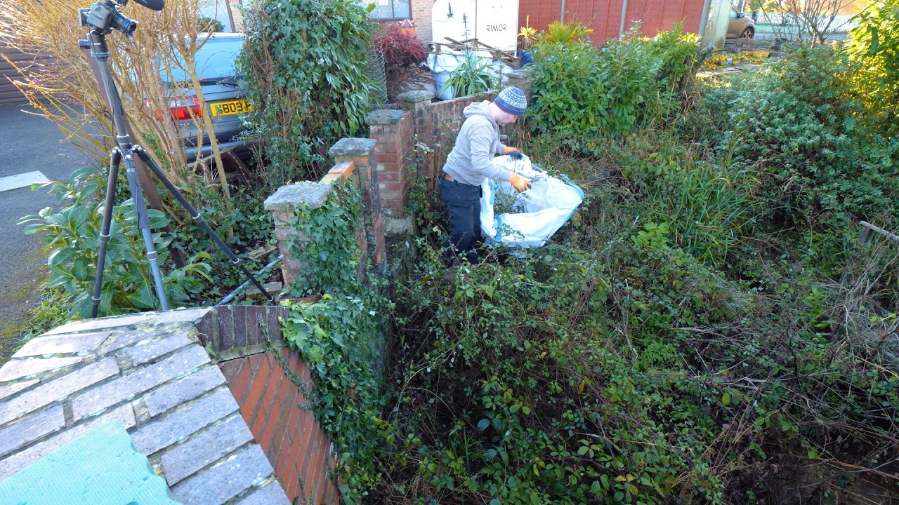 Restoring a forgotten stream into a peaceful oasis