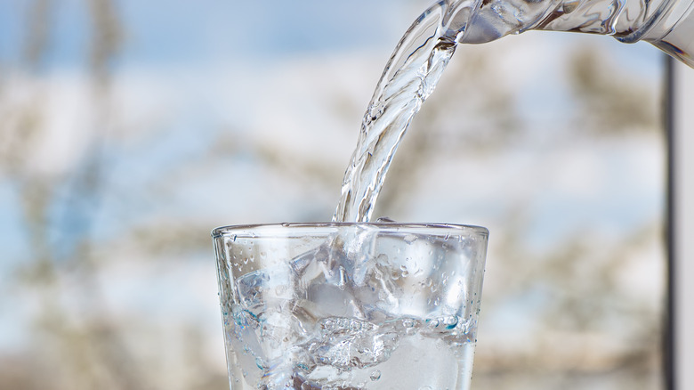 Foods to eat for fresh breath