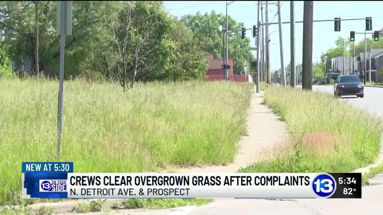 City crews clear overgrown grass after resident complaints