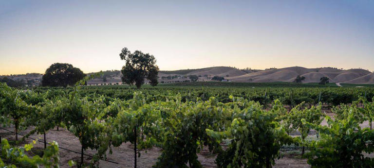 New fee will charge Paso Robles farmers for water they used last year