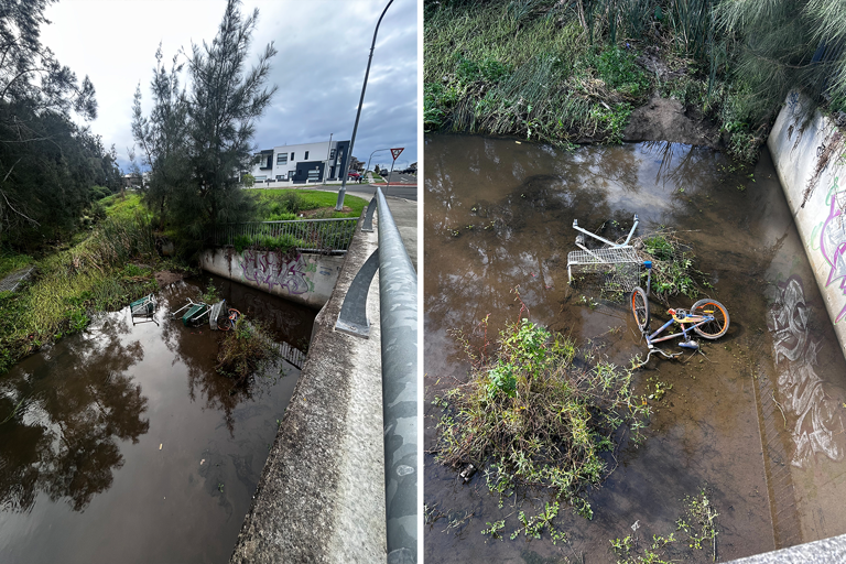 Photos of dumped Woolworths trolleys at centre of 'explosive ...