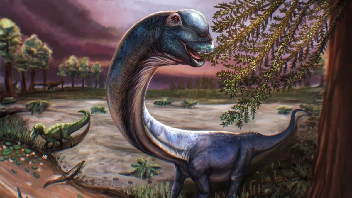 Largest ever dinosaur discovered in Southeast Asia was a real doozy