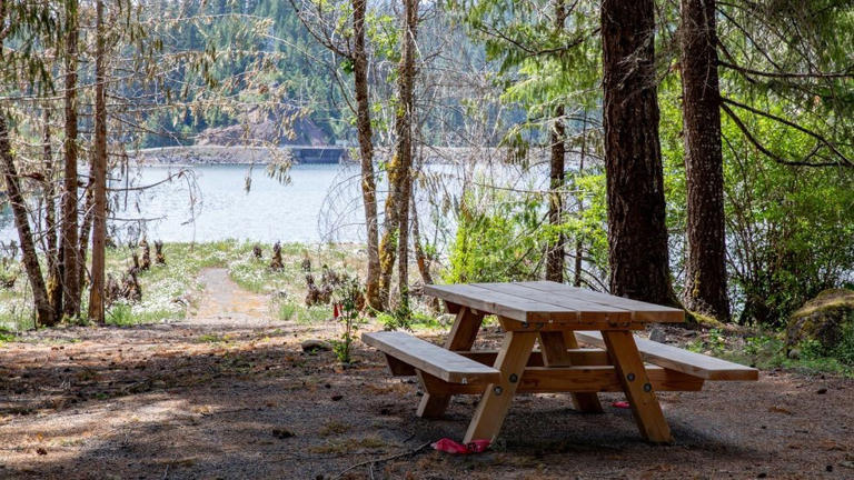 Carmen-Smith recreation sites open on Upper McKenzie River after nine ...