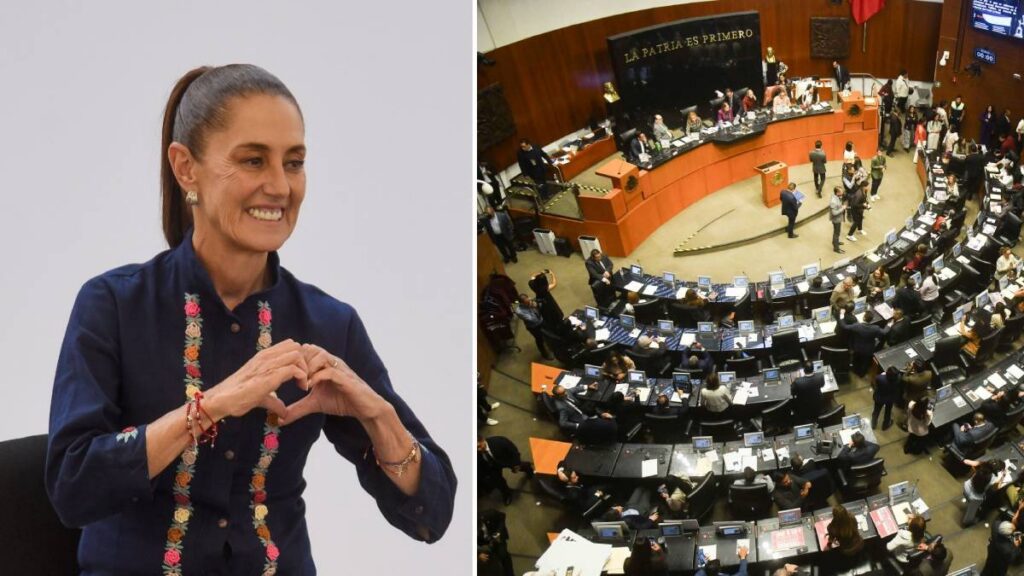 Claudia Sheinbaum envió dos iniciativas al Senado para proteger los ...