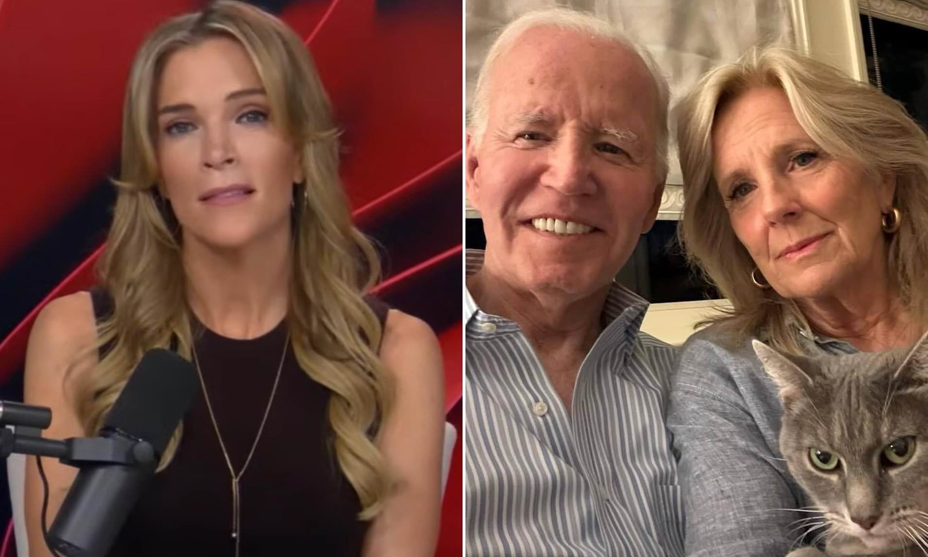 Megyn Kelly shares chilling theory about why Jill Biden now claims she ...