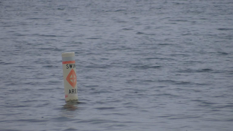 Iowa DNR warns against swimming at four state beaches due to E coli ...