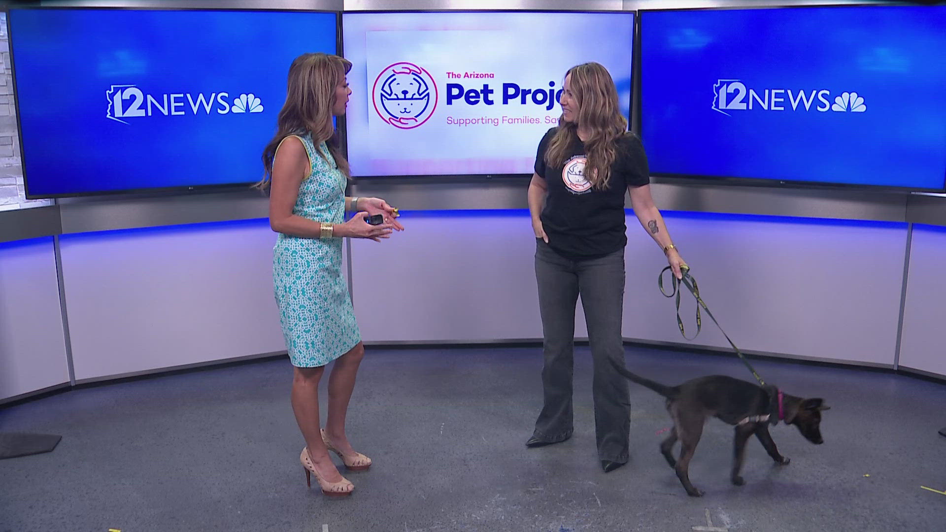 The AZ Pet Project is providing no-cost spay and neuter clinics across ...