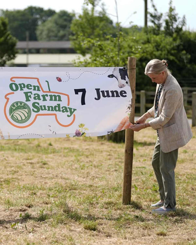 Duchess Sophie swaps palace for farmyard — and royal fans have the same ...