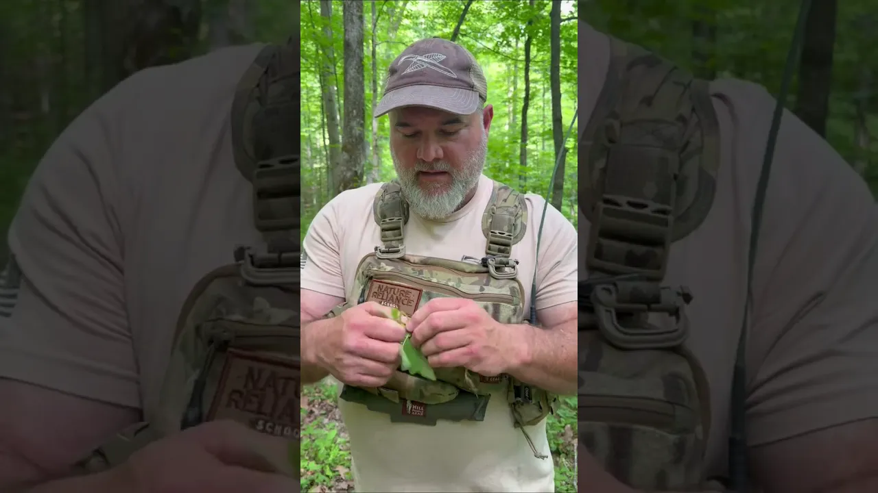 Two things people get wrong about jewelweed