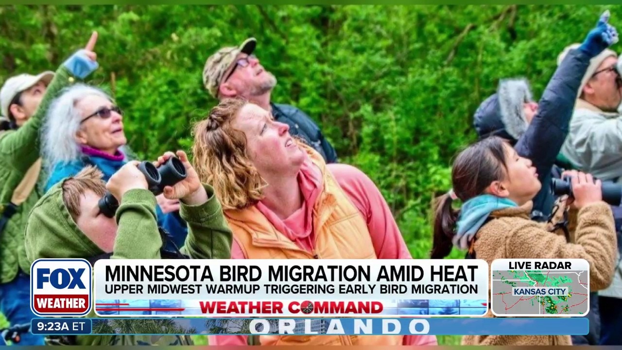 Upper Midwest heat impacting Minnesota bird migration