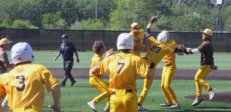 Brayden Steiner's walk-off hit lifts defending state champions ...