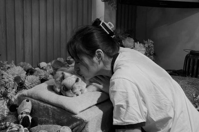 Karina Bautista mourns the loss of her fur baby Billy: 'Meet me at the ...