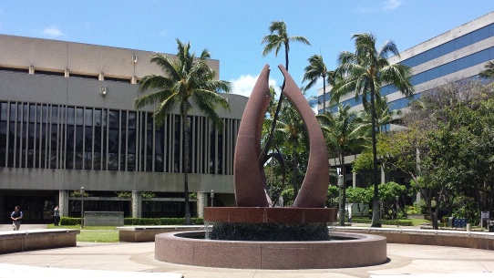 Hawaii's retroactive solar credit cap halts major projects