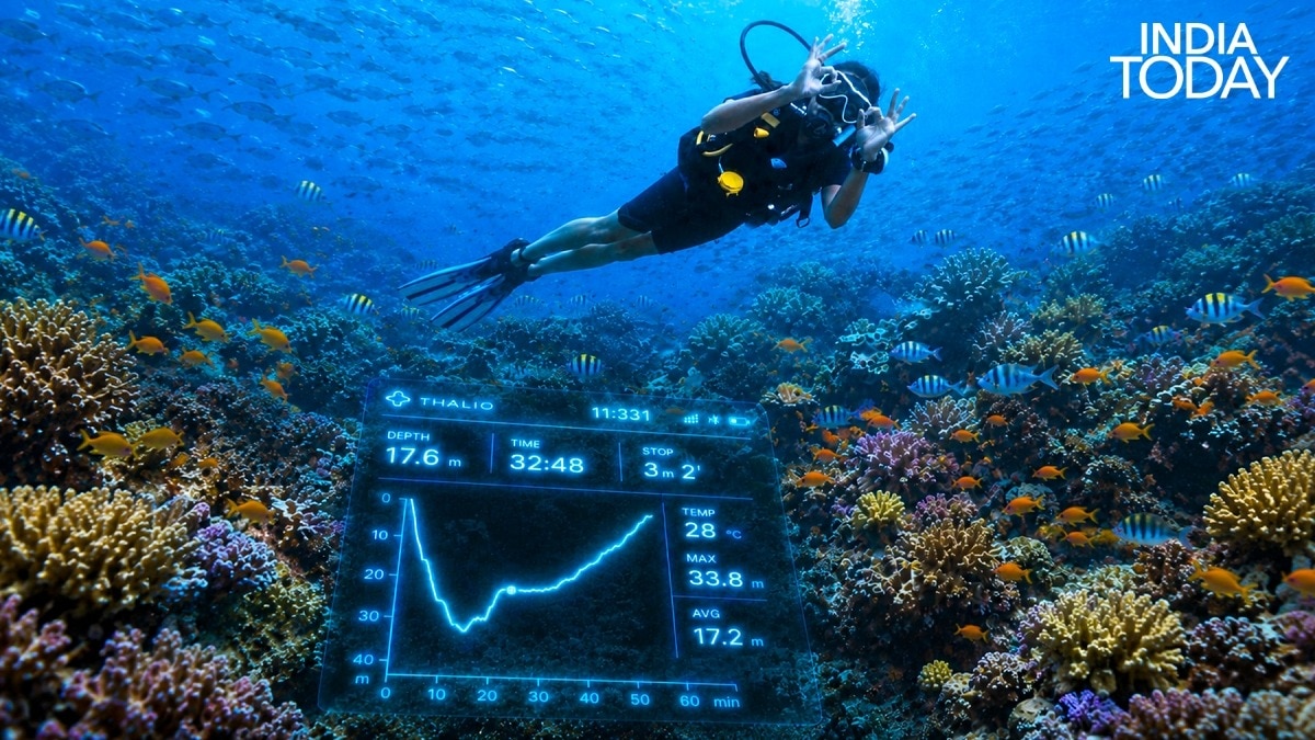 Pressure, panic and physics: I jumped into the ocean and science kept ...