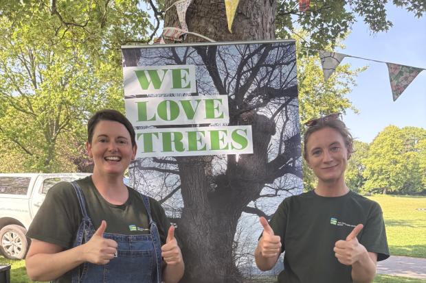 Crowds gather in park to celebrate trees with music, poetry and family fun
