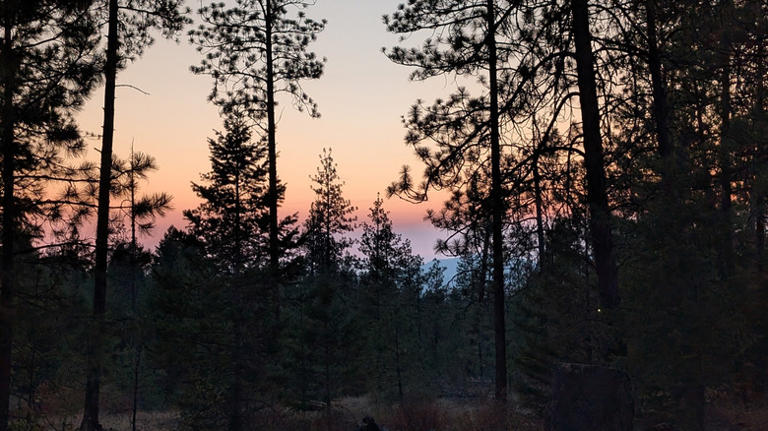 Idaho's serene forest is an outdoor adventure haven with scenic trails ...