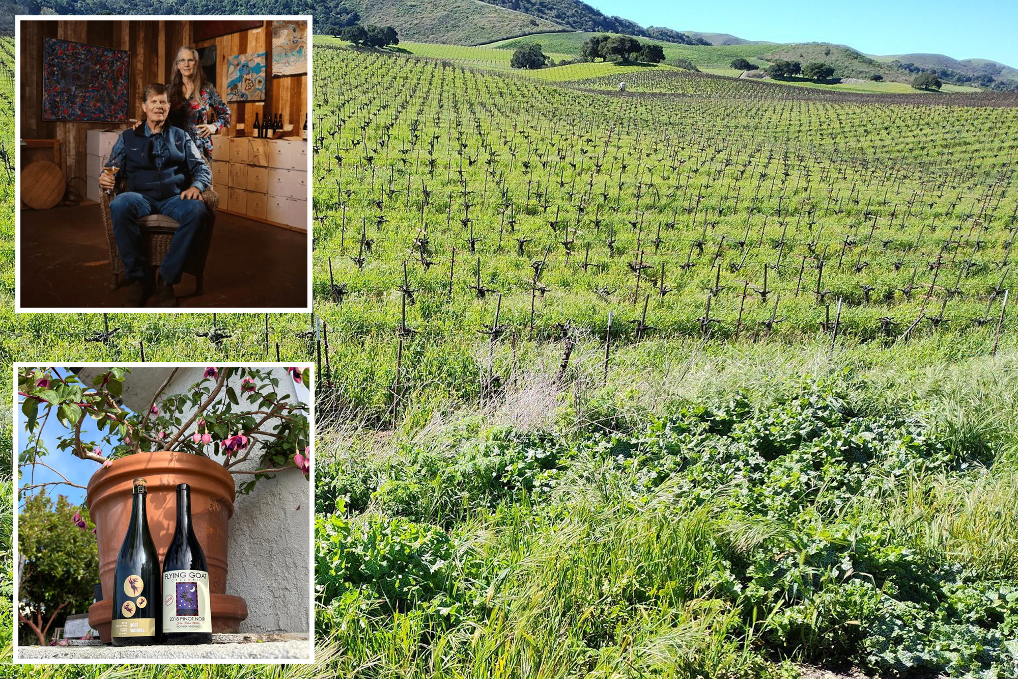 SoCal winery files furious lawsuit against Santa Barbara accusing it of ...