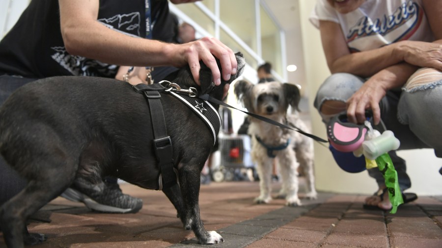 Dog owners in this Oregon Coast town warned of 'highly contagious and ...