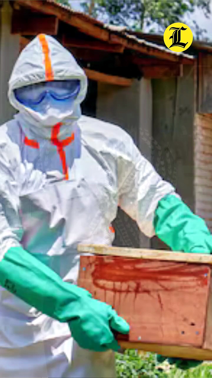 Medidas preventivas ante brote de ébola en África
