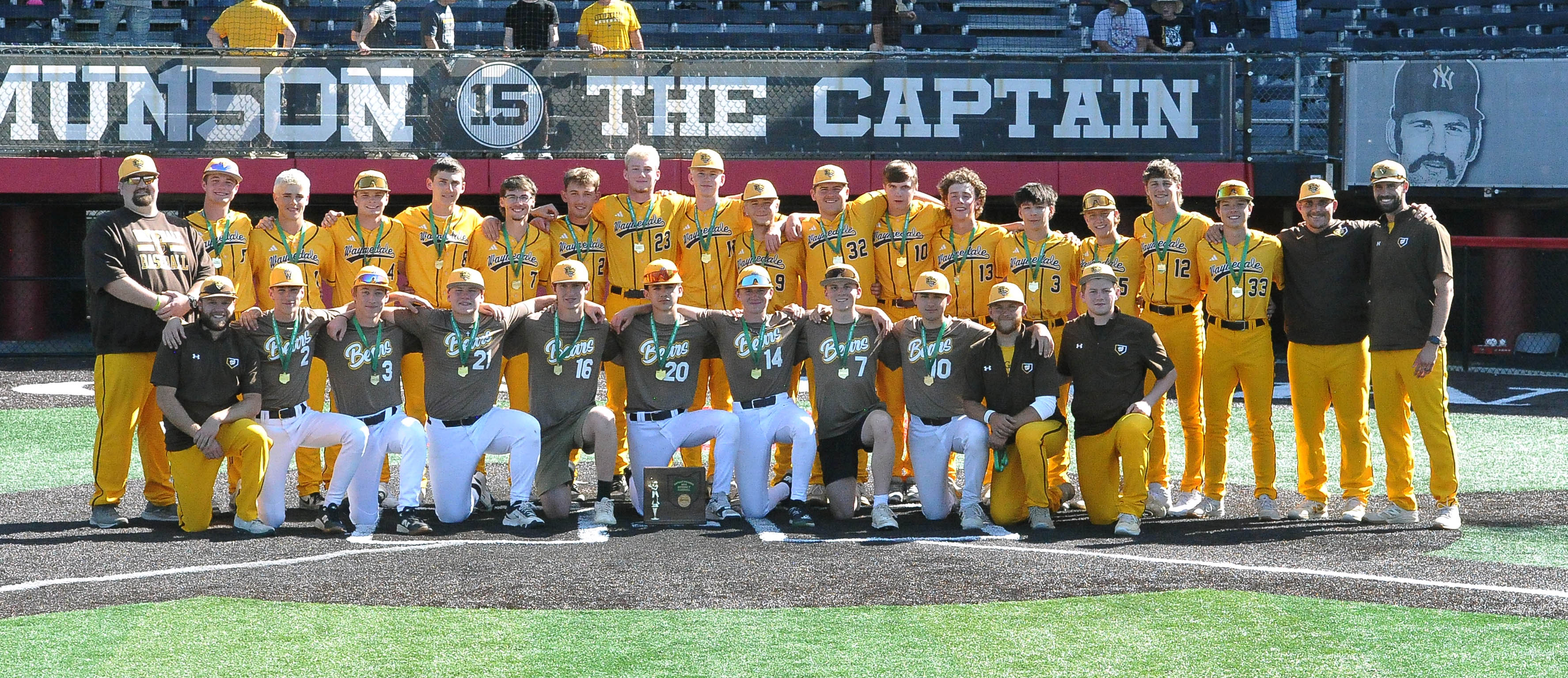 Steiner's walk-off hit lifts defending state champ Waynedale to Div. V ...