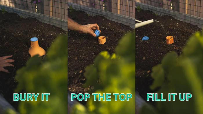 If you're always forgetting to water your plants, this pot can do it ...