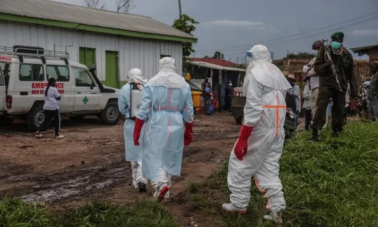WHO reports 906 suspected cases and 223 deaths from Ebola in ...
