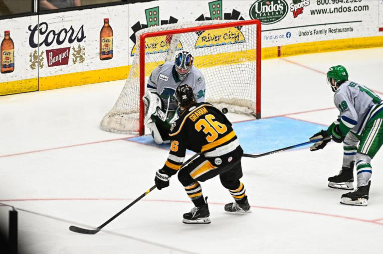 Wheeling Nailers force game five in OT win