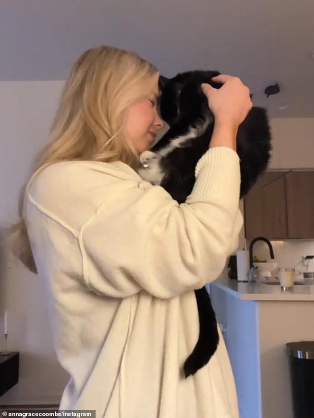 Owner's cat 'killed by coyotes' after pet sitter lost her within five ...