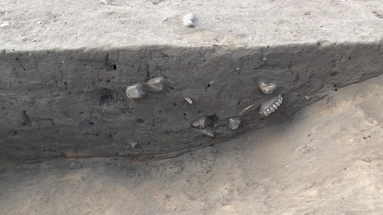 Second oven found at Anglo-Saxon site dig