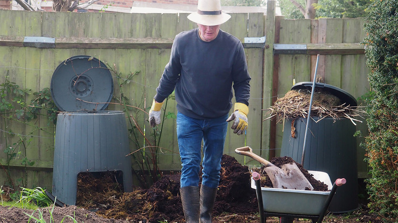 Not citrus: The kitchen scrap you should never add to compost