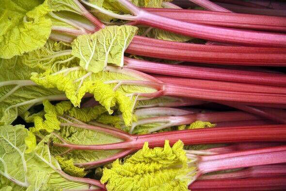Gardeners growing rhubarb urged to remove one thing from plants immediately