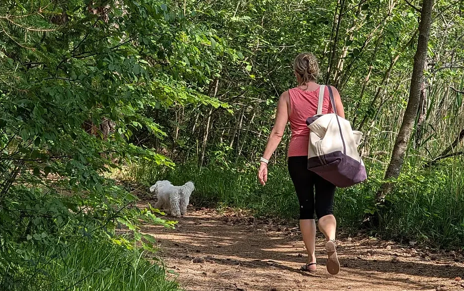 New guides spotlight best dog-friendly summer destinations
