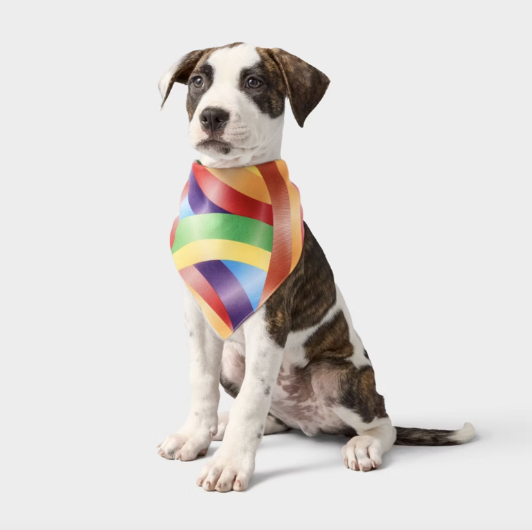 As expected, Target’s Pride collection is a rainbow flop