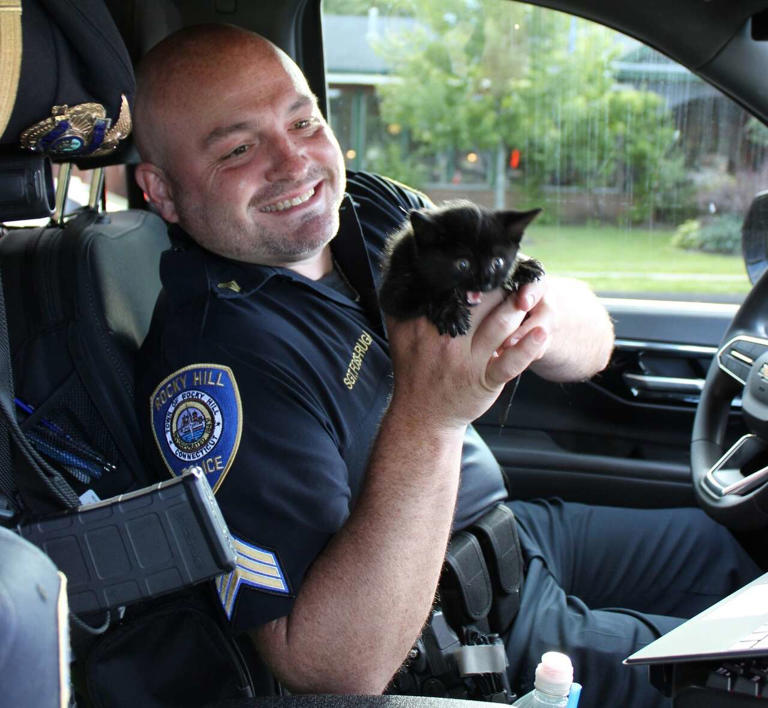 Firefighters rescue small kitten stuck in Rocky Hill sewer