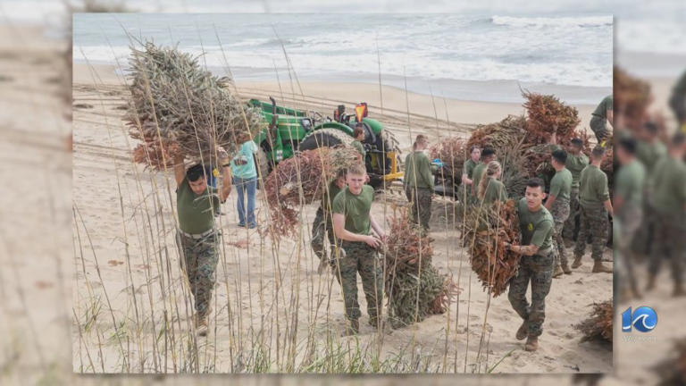 Naval volunteers restore dunes and combat erosion at Dam Neck Annex
