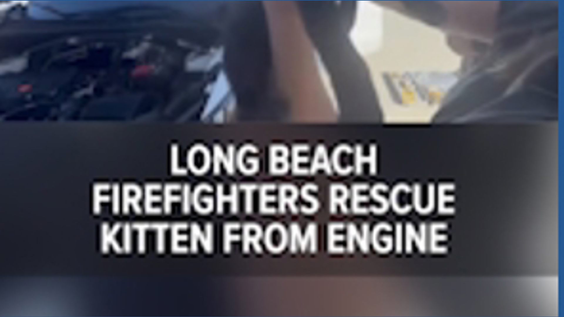 Long Beach firefighters rescue kitten from engine