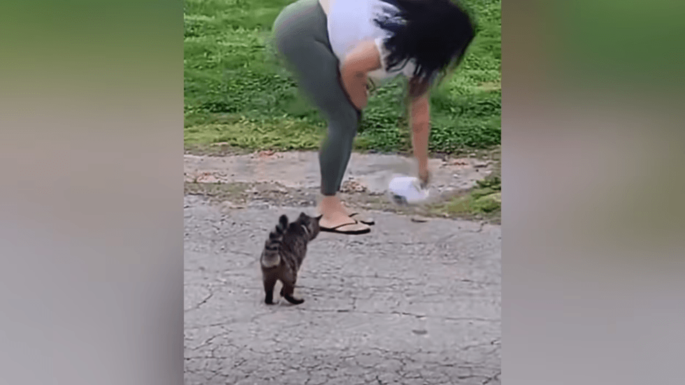 Delco woman charged with animal cruelty for allegedly pouring bleach on ...