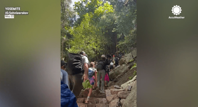 Yosemite crowds offer first look at summer travel without reservations