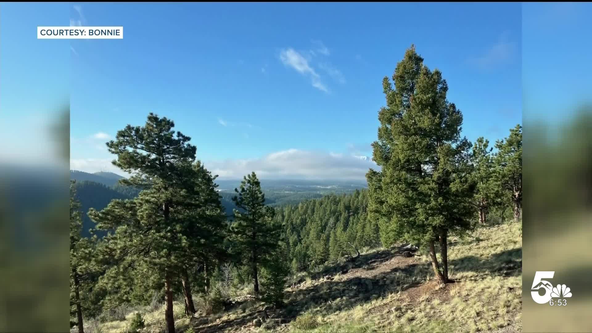 Upslope fog vs. radiation fog: What's behind the clouds that blocked ...