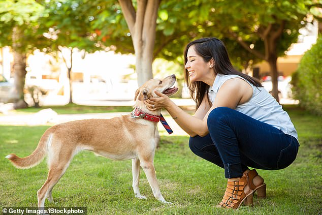 Revealed: The questions British pet owners wish they could ask their ...