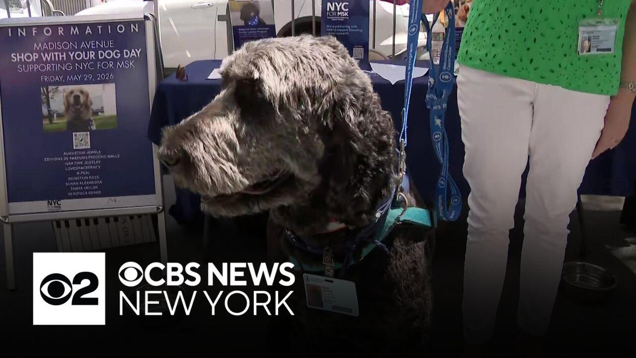 Shop with your dog day aims to inspire pet owners to join "Caring ...