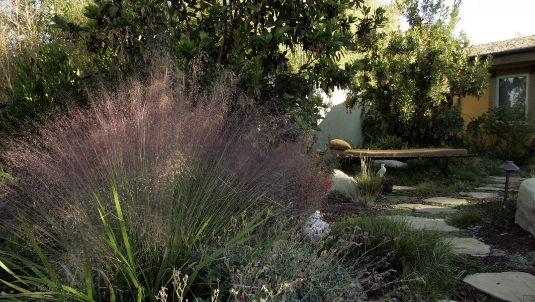French courtyards and no-mow lawns lead 2026 backyard trends